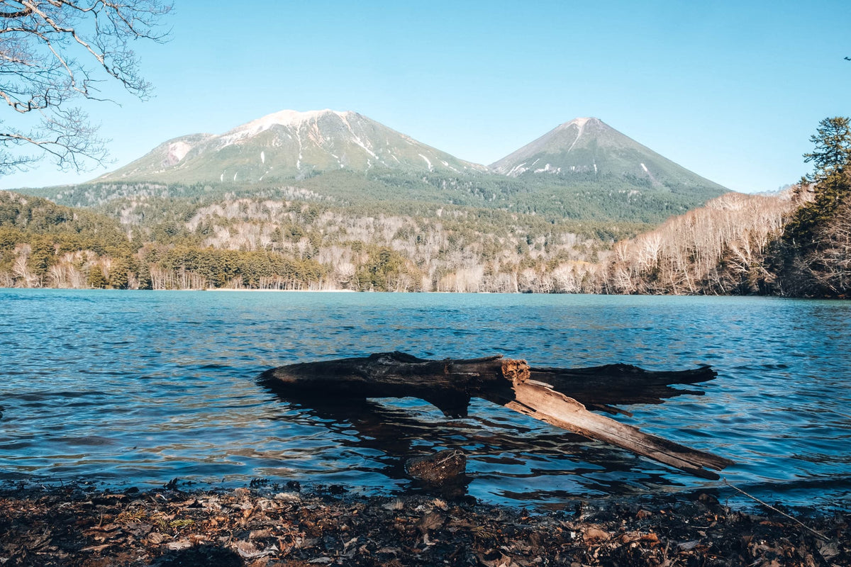 UPI 福袋 2025 – UPI ONLINE STORE