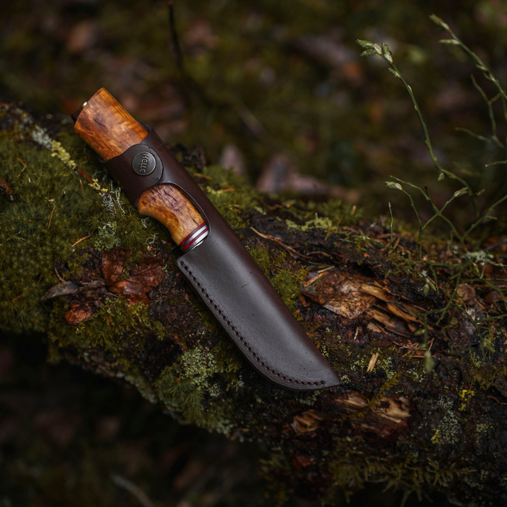 Helle – UPI ONLINE STORE