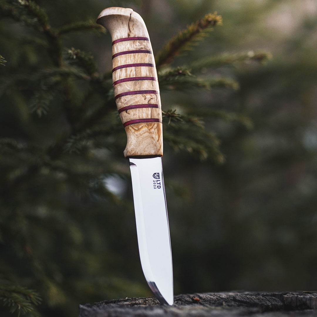 Helle – Page 3 – UPI ONLINE STORE